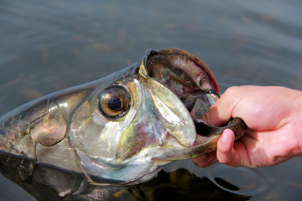 10 Best Fishing Destinations Around the World