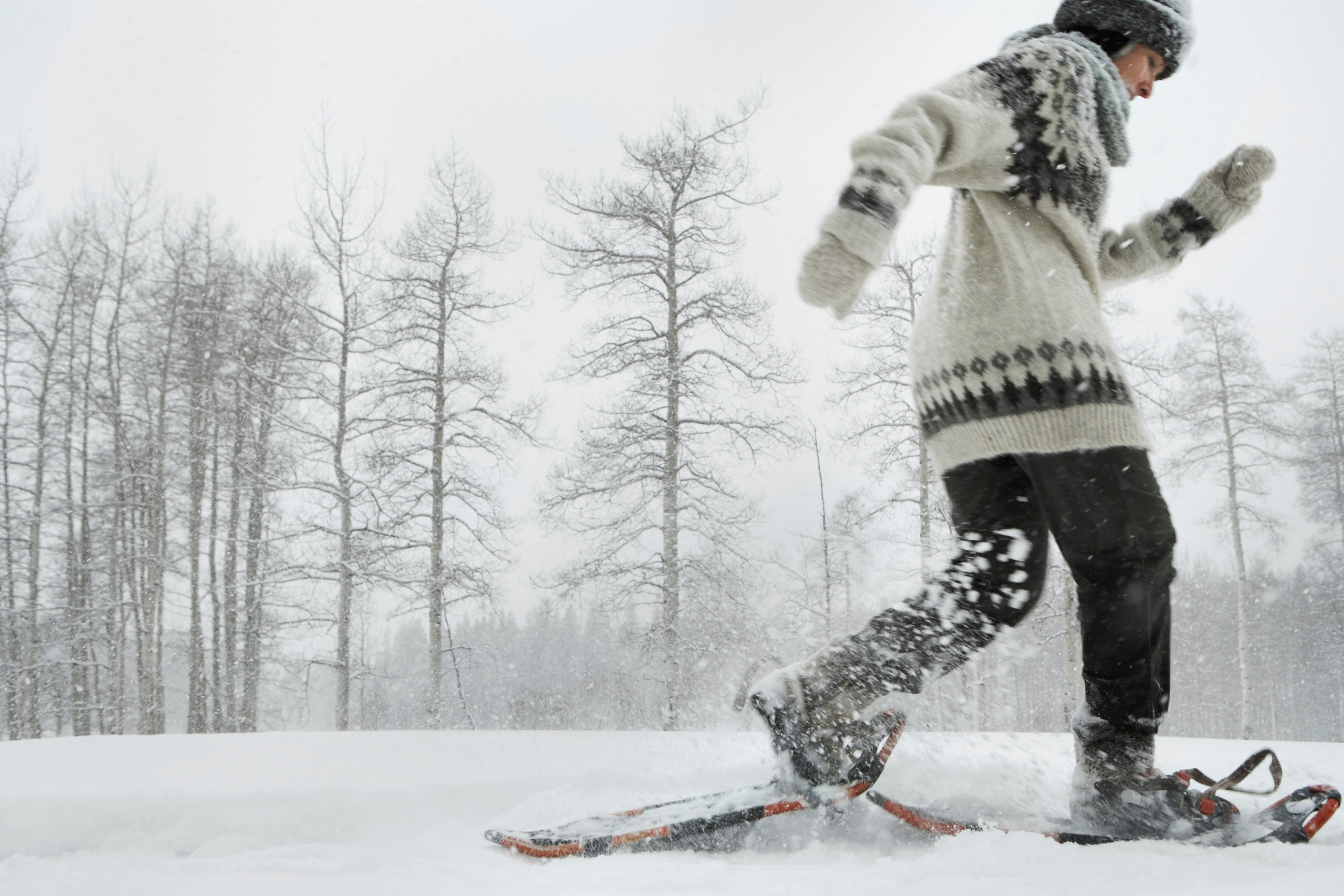 Snowshoeing 101: Everything You Need to Know to Snowshoe