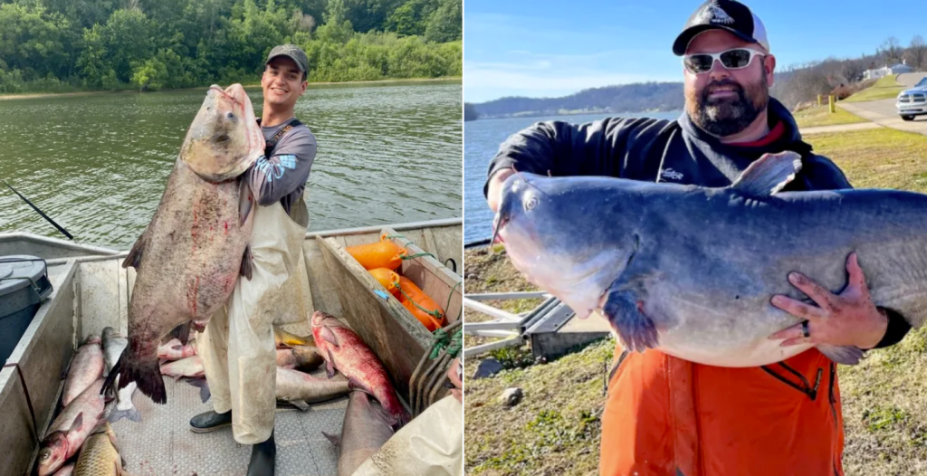 Our Favorite Record-Breaking Fish of 2023 - Wide Open Spaces