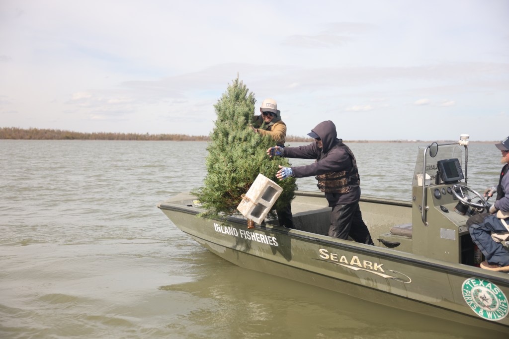 How to Turn Your Old Christmas Tree Into Prime Fish Habitat