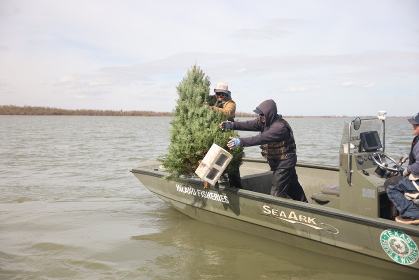 How to Turn Your Old Christmas Tree Into Prime Fish Habitat