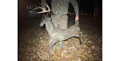 Hunter Tags Tiny Dwarf Deer With Big Rack