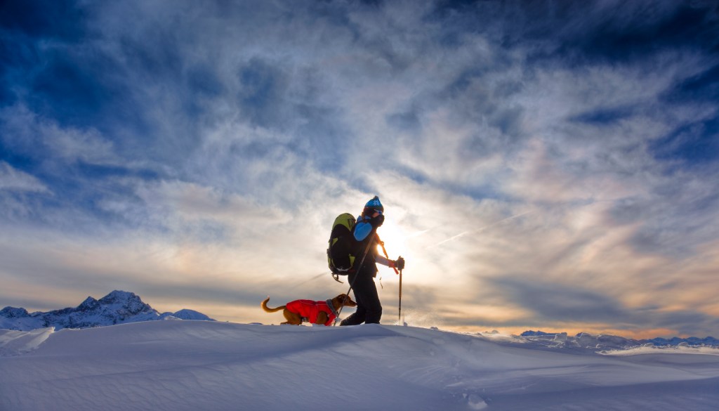 How to Survive an Avalanche, From an Avi Education Instructor - Wide ...