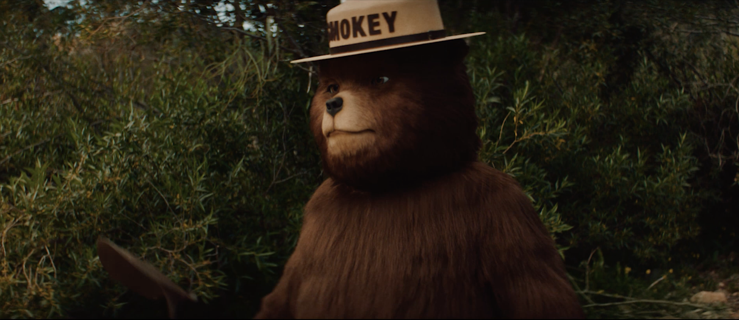 Smokey Bear Stars in 80th Anniversary PSA With a New Voice