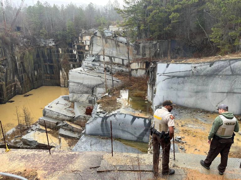 Hunting Dog Miraculously Survives Chasing Hogs Off an 85-Foot Cliff