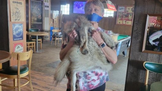 Cody Roberts’ Aunt Defends His Alleged Torture of a Wolf - Wide Open Spaces