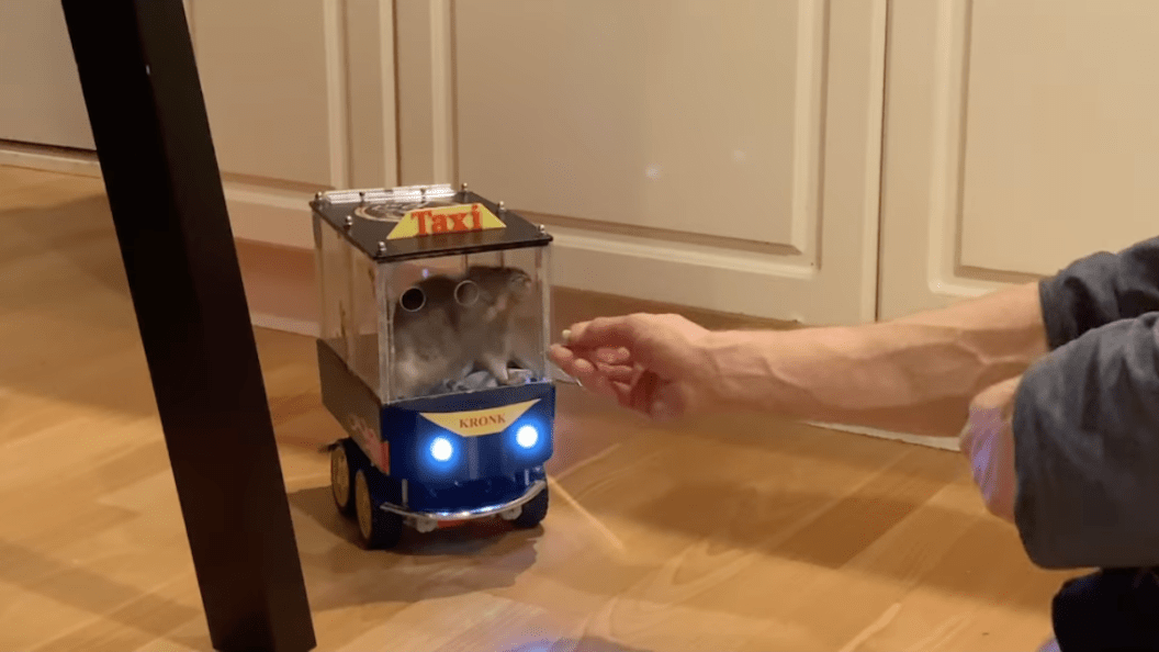 WATCH: Rats Learning to Drive Tiny Rat Rods - Wide Open Spaces