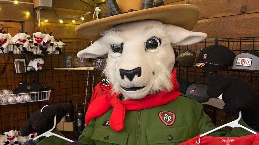 Interior Department Pressures Baseball Team to Drop Logo - Wide Open Spaces