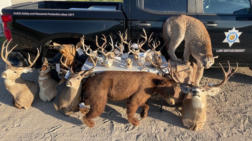 Lifetime Hunting Ban for Poachers Involved in Conspiracy