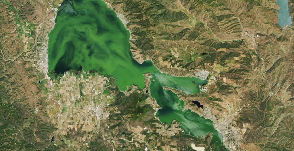 Oldest Lake In America So Infested With Potentially Deadly Algae That ...