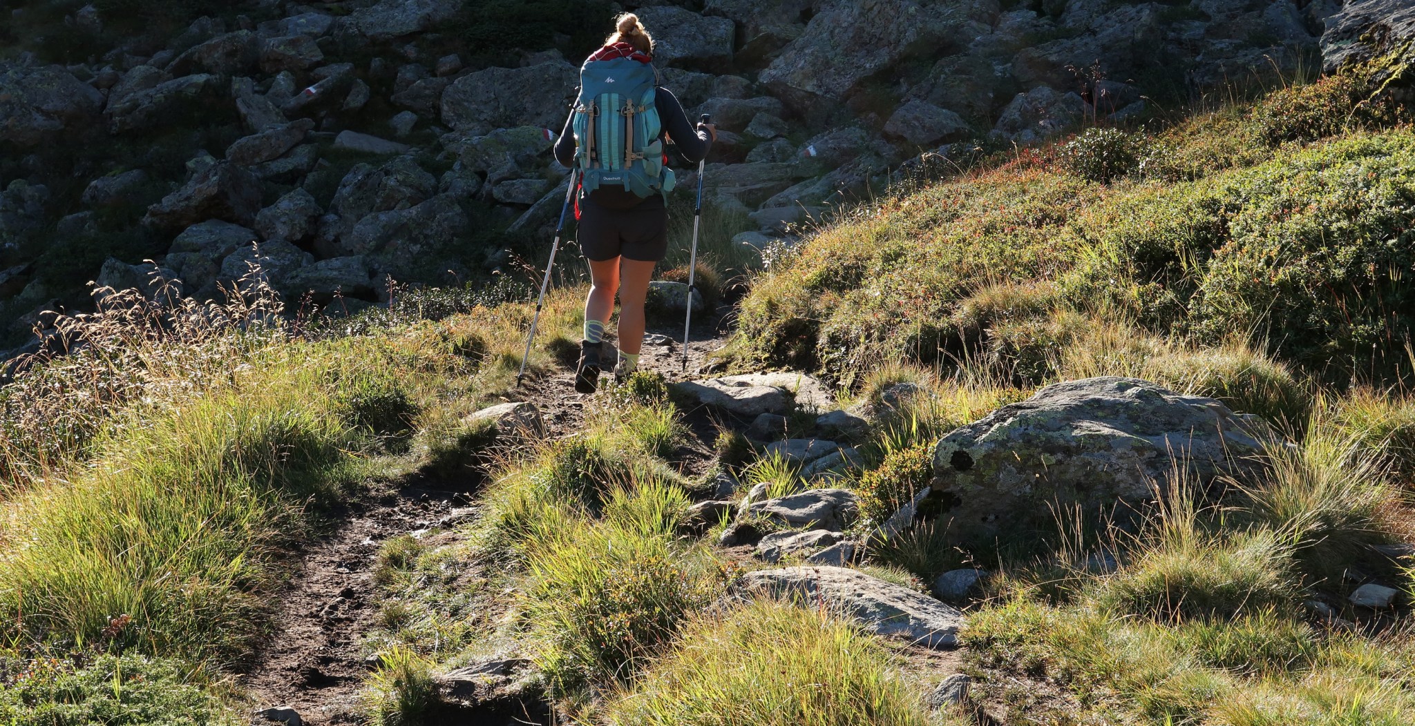 Hiker Missing On San Diego Trail As Rescuers Rush To Find Her In ...