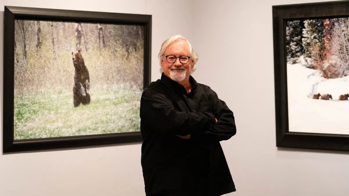 Acclaimed wildlife photographer lost in traffic court