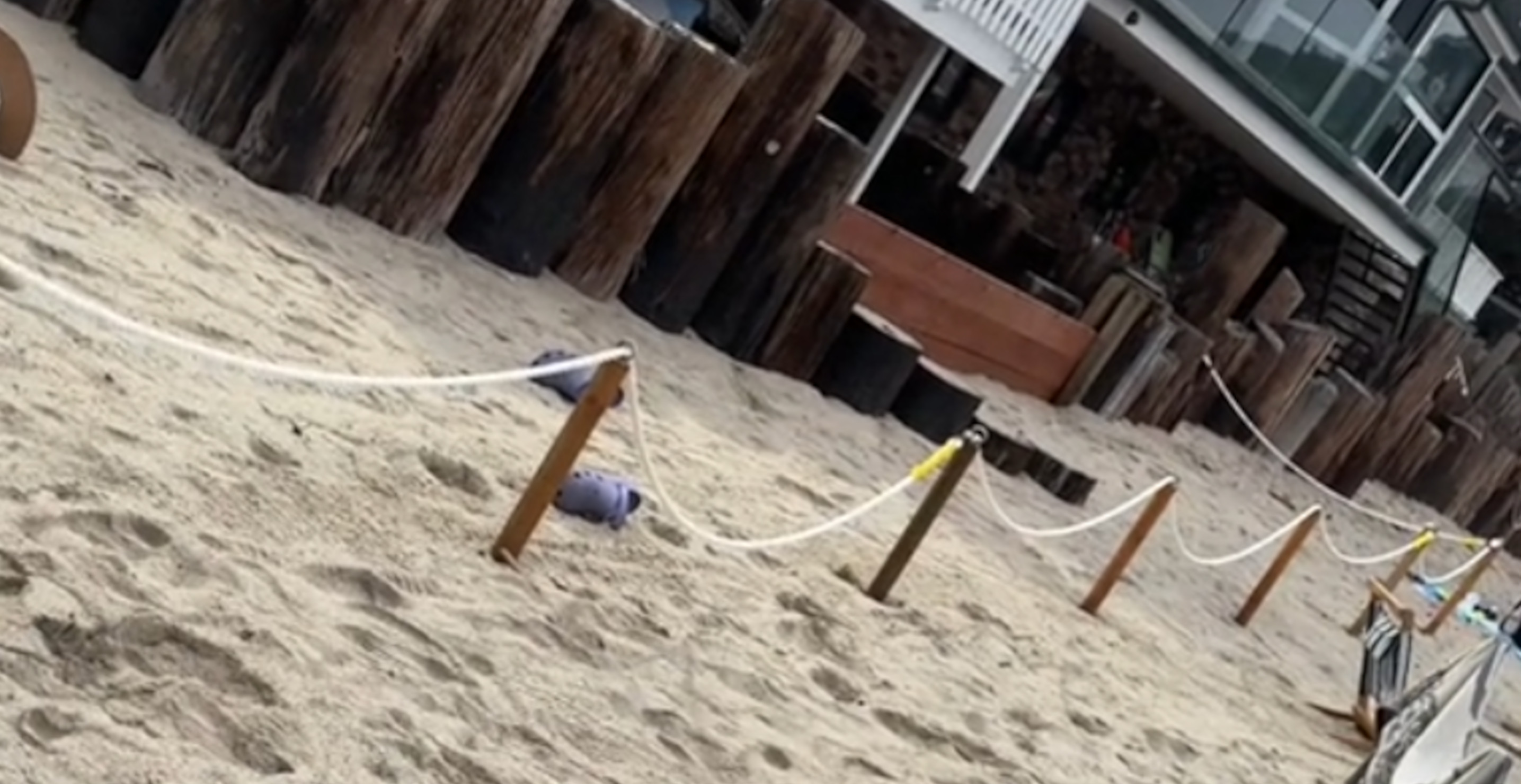 California Homeowner Ropes Off Public Beach, Claiming It Is Part Of ...