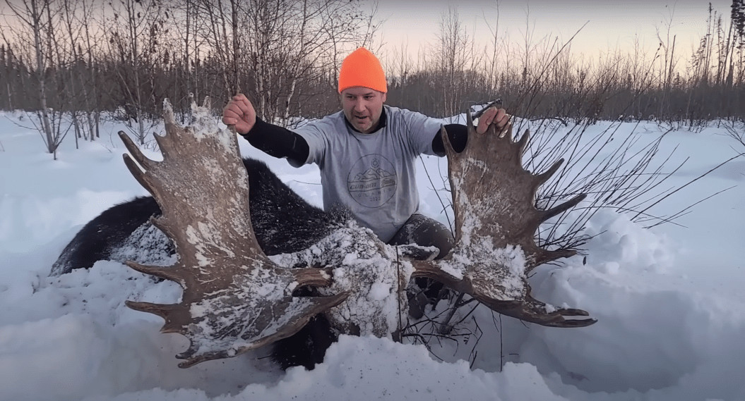 YouTube Video Leads to Moose Poaching Conviction