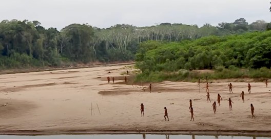 New Footage Shows Best Look Of World's Most Isolated Tribe Amid Logging ...