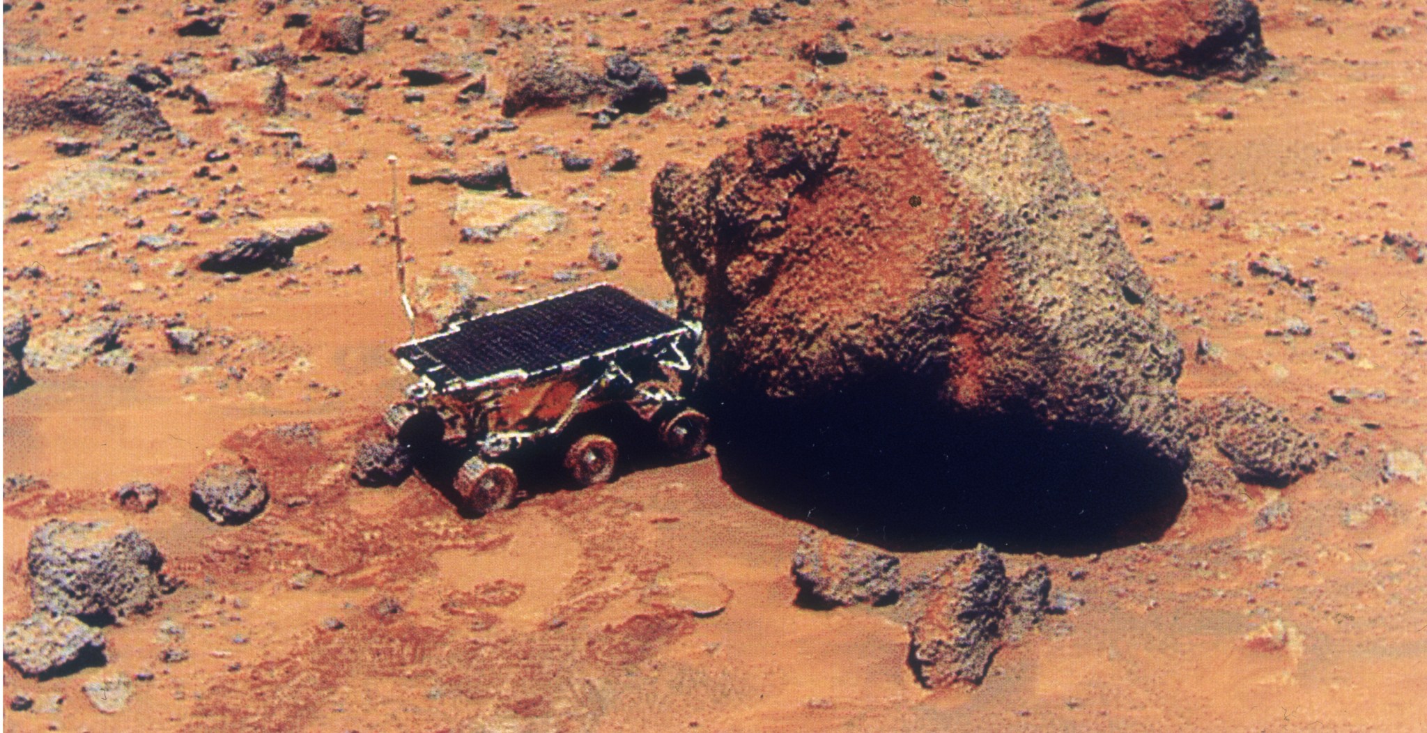 This Desert Moss May Be The Secret To Humans Colonizing Mars - Wide ...