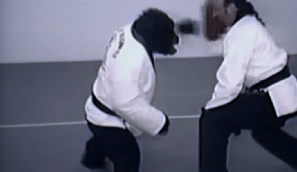 Does Joe Rogan Know About This? The Chimp That Knows Karate - Wide Open ...