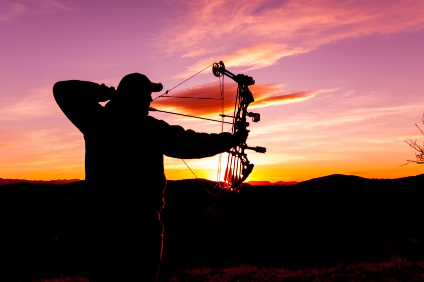 Top 6 Spots to Hunt Velvet Deer - Wide Open Spaces