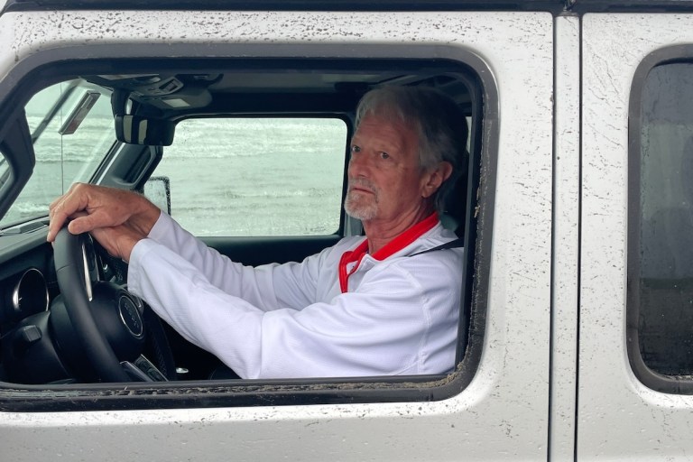 Driver Runs Over 25 Seagulls in Shocking Display of Violence - Wide ...