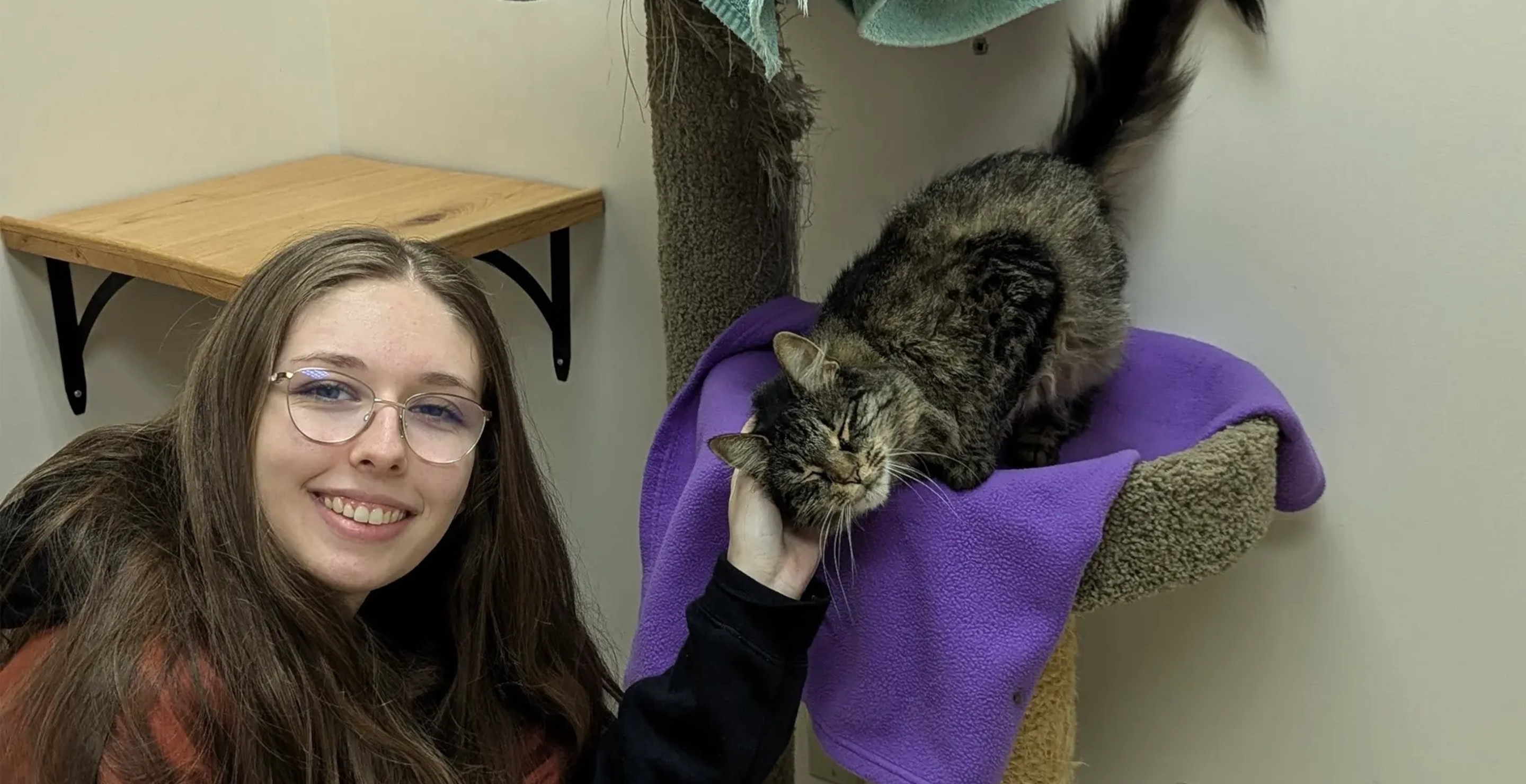 Cat Returns Home To Texas After Traveling More Than 2,000 Miles - Wide ...