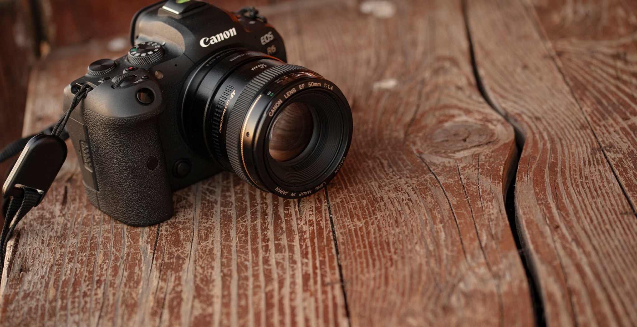 Lost Species Finally Documented After 55 Years In Rare Photo - Wide ...