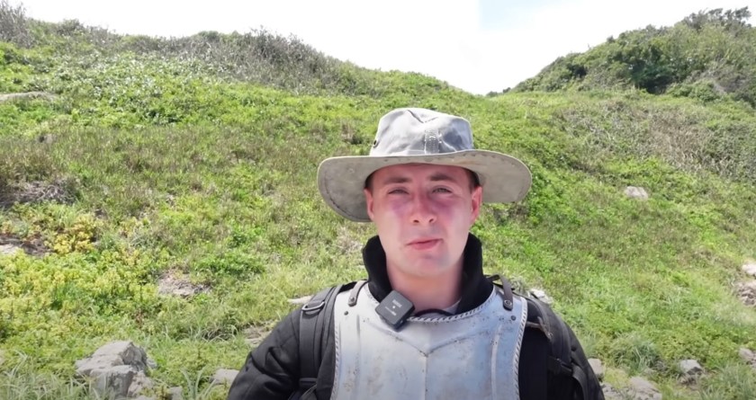 Turns Out, There's An Island Filled With Snakes And Giant Cockroaches ...