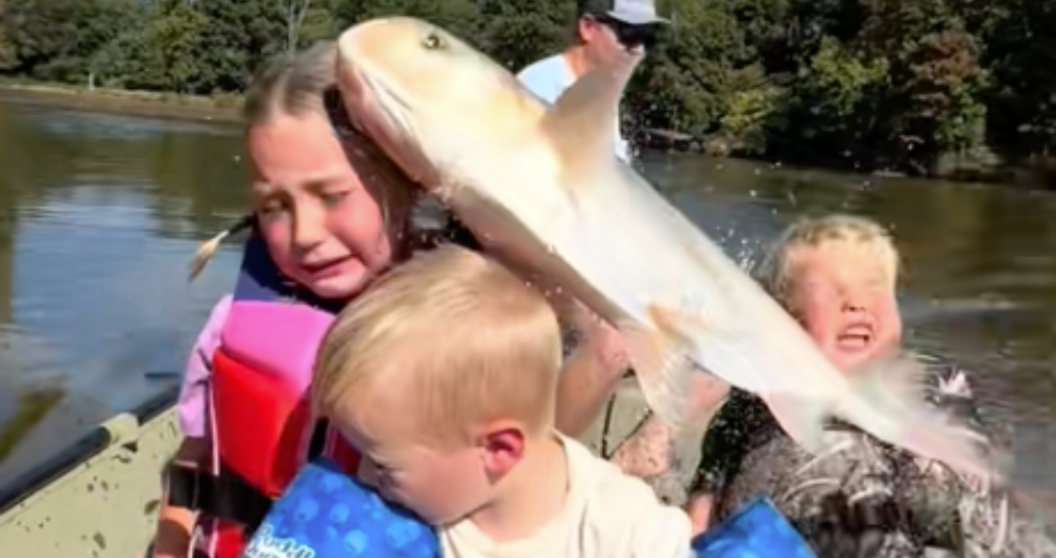 Huge Fish Jumps Out Of Water And Slaps Three Terrified Children In Face ...
