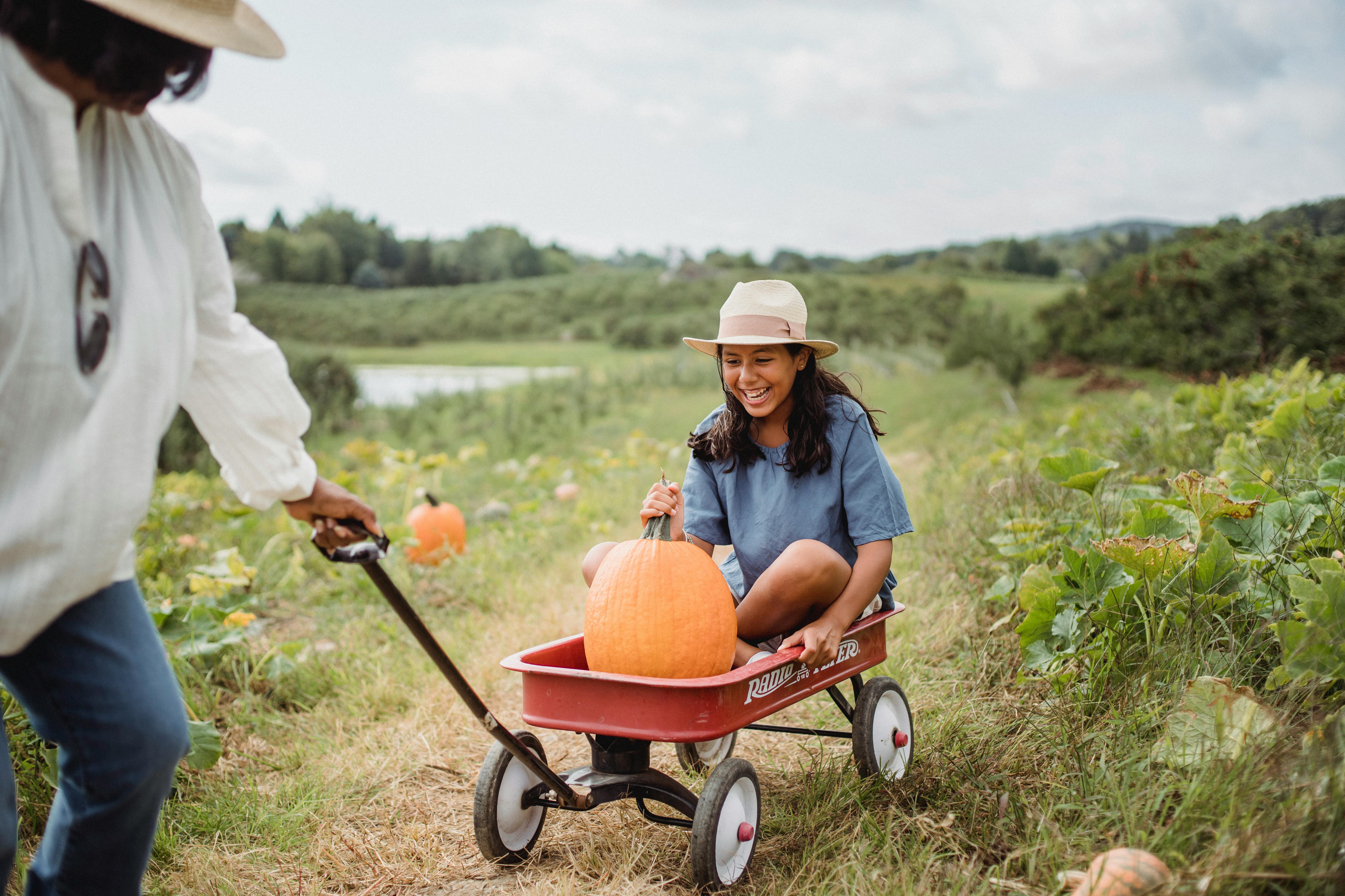 10 Tips For Picking The Perfect Pumpkin This Autumn - Wide Open Spaces