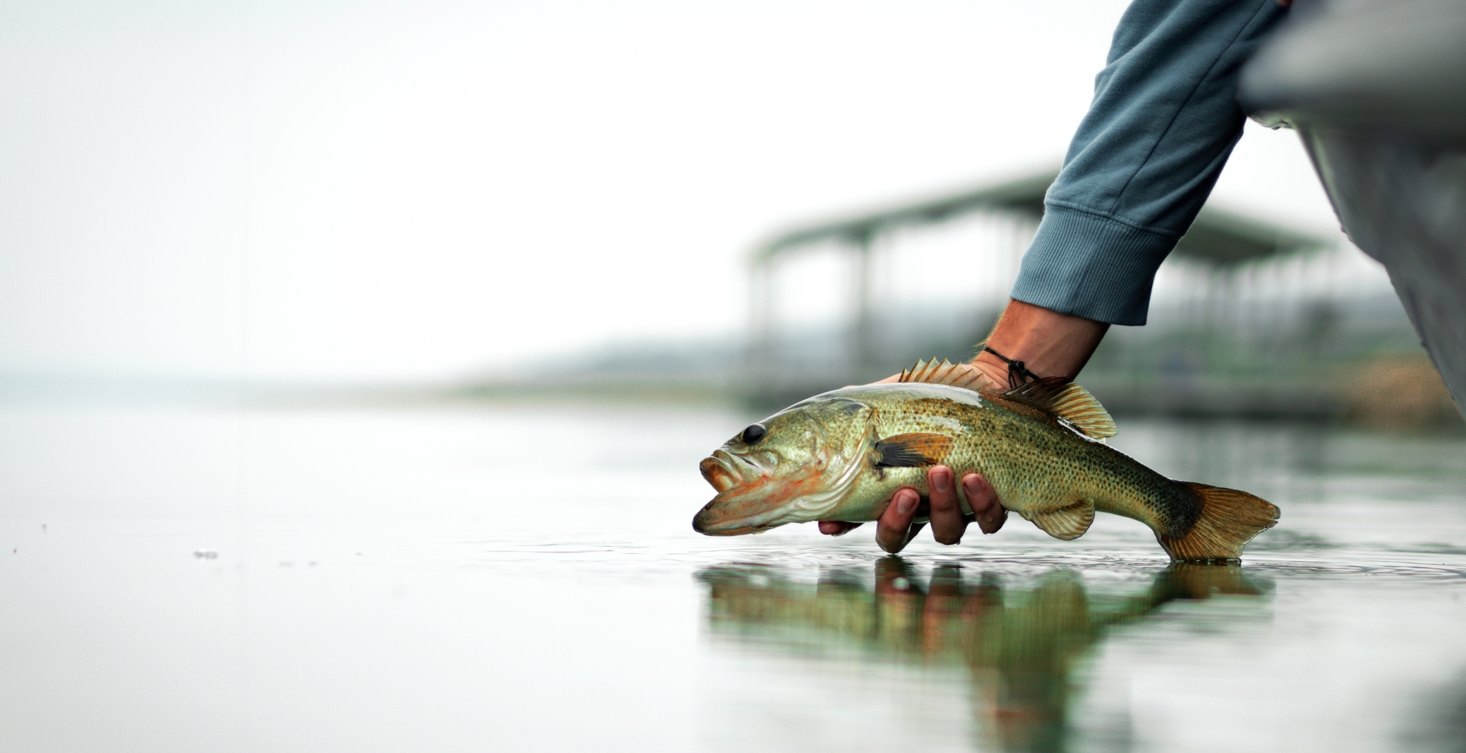 3 Important Things To Remember For Fall Fishing - Wide Open Spaces