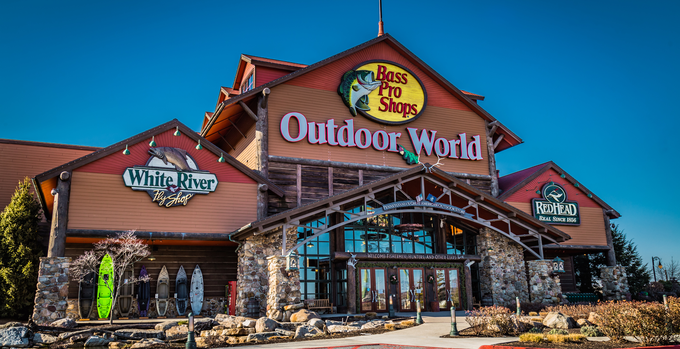Shocked Bass Pro Shopper Discover Raccoons Living In Artificial Tree In ...