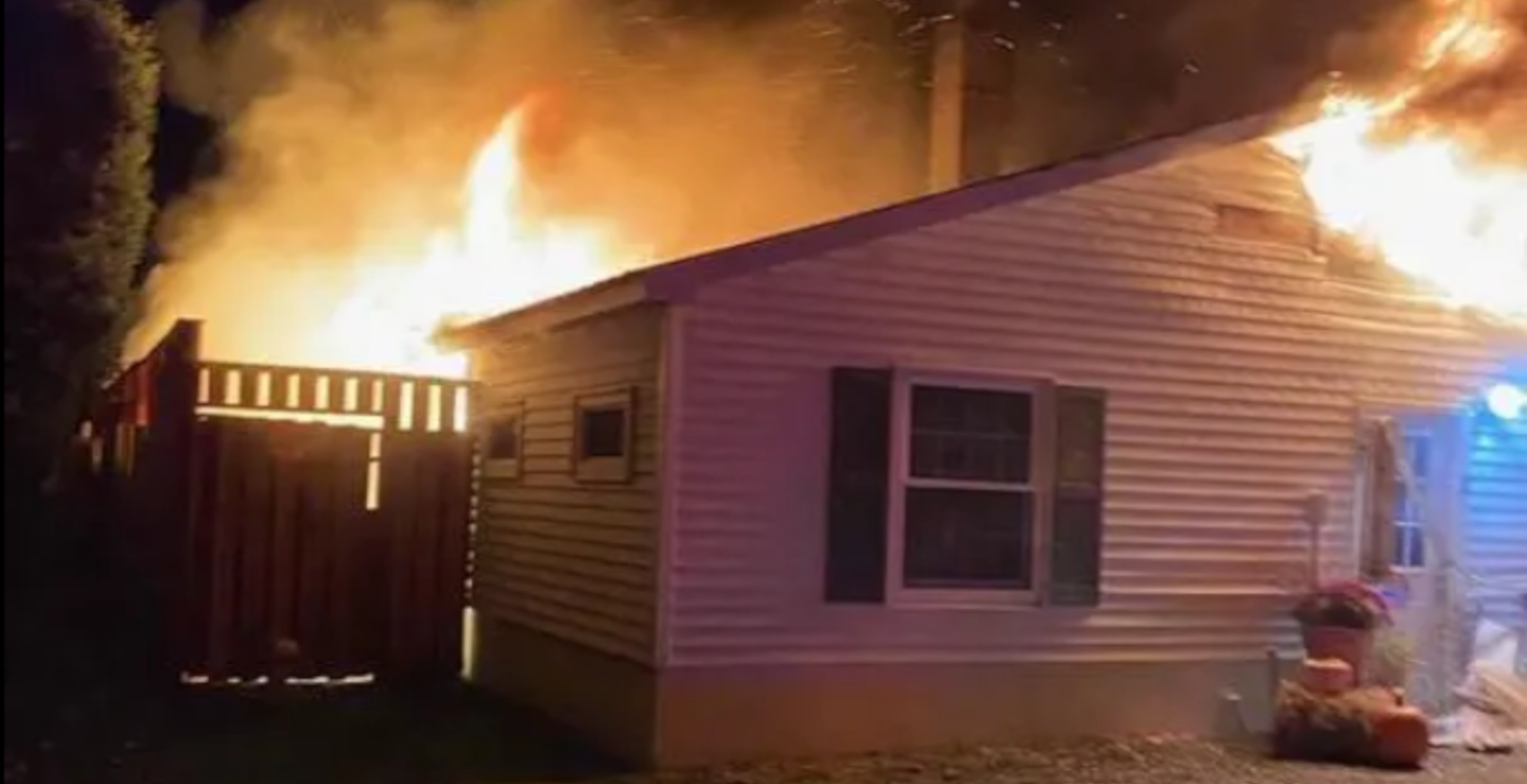Massive Fire At New York Shelter Kills All Of Its 44 Dogs In ...