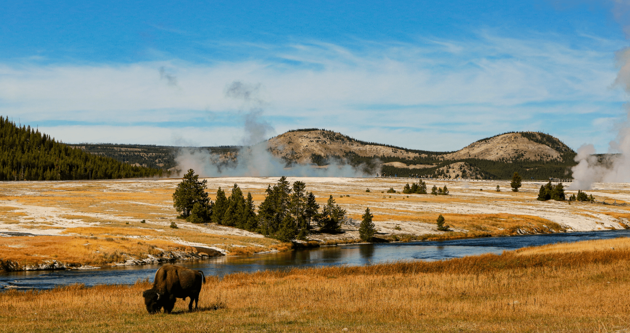 Yellowstone Photographer Gives Important Warning To Visitors - Wide ...