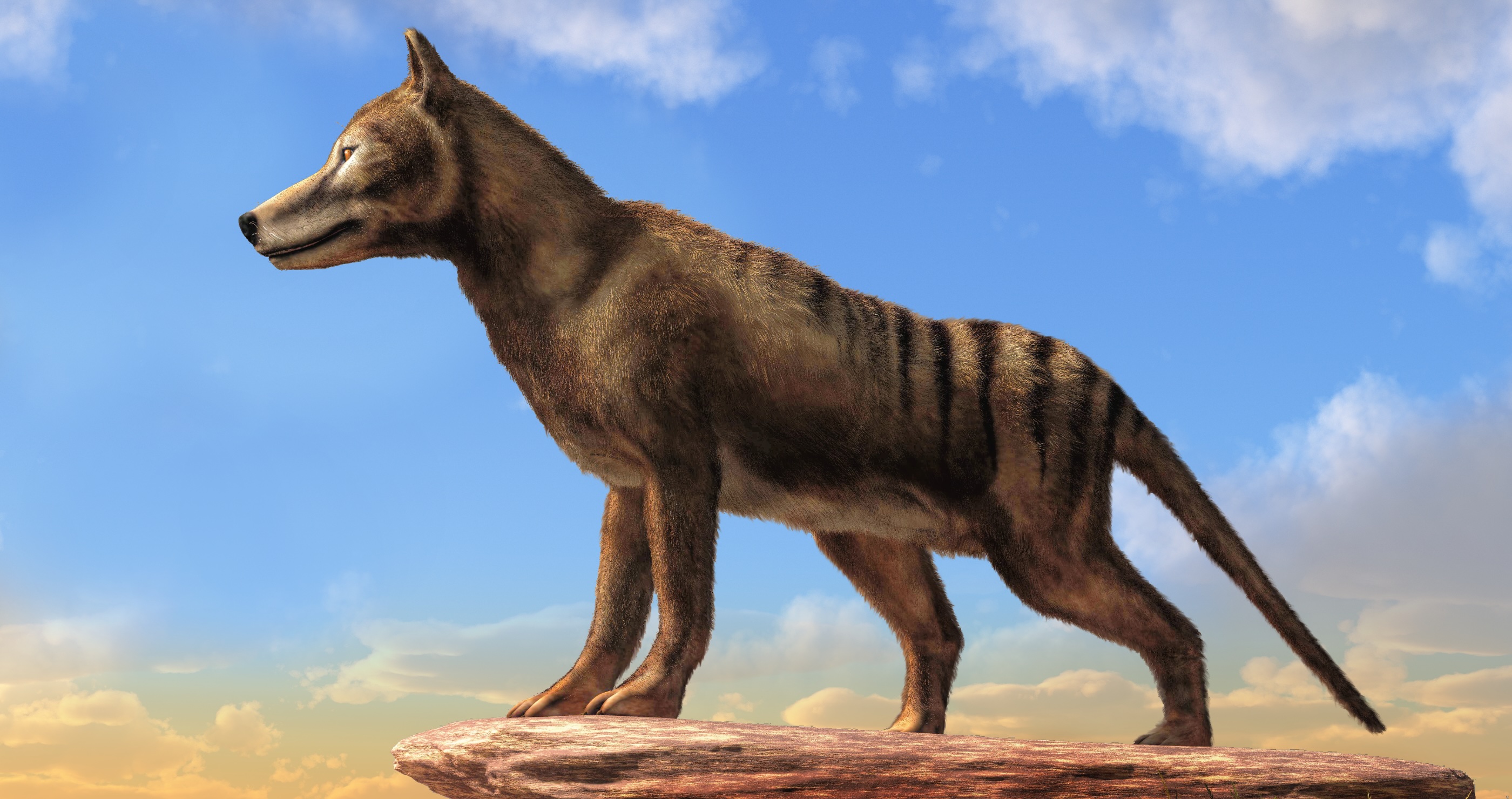 Scientists Want To Bring Back Long Lost Animal, But Will It Work ...