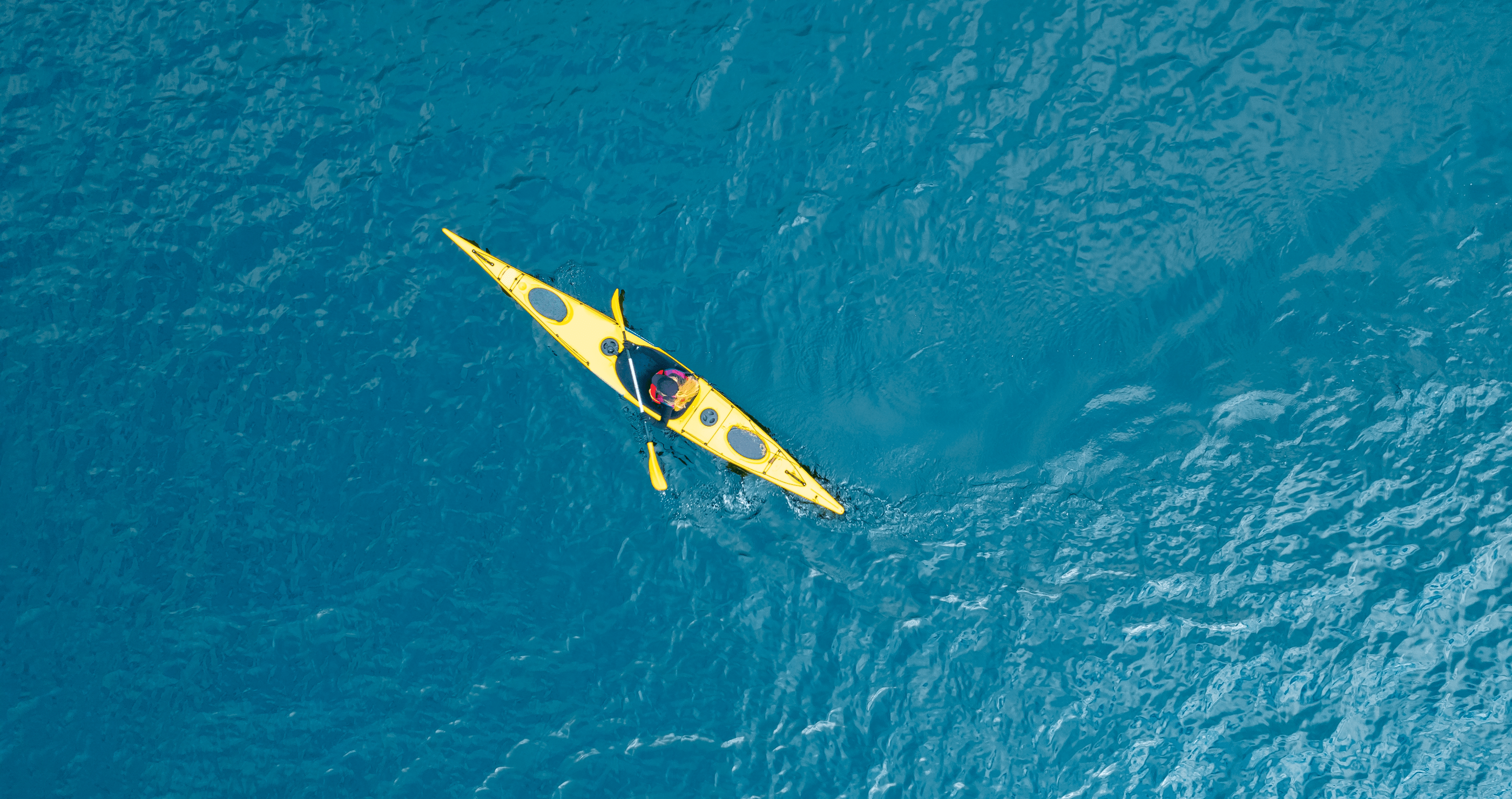 When Angry Shark Attacks, All Kayaker Has Is A Paddle In Crazy Viral ...