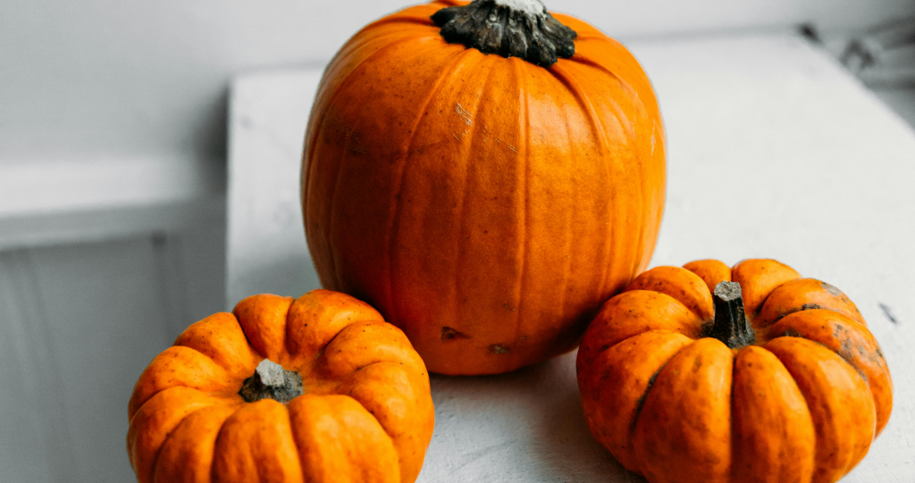 10 Tips For Picking The Perfect Pumpkin This Autumn - Wide Open Spaces