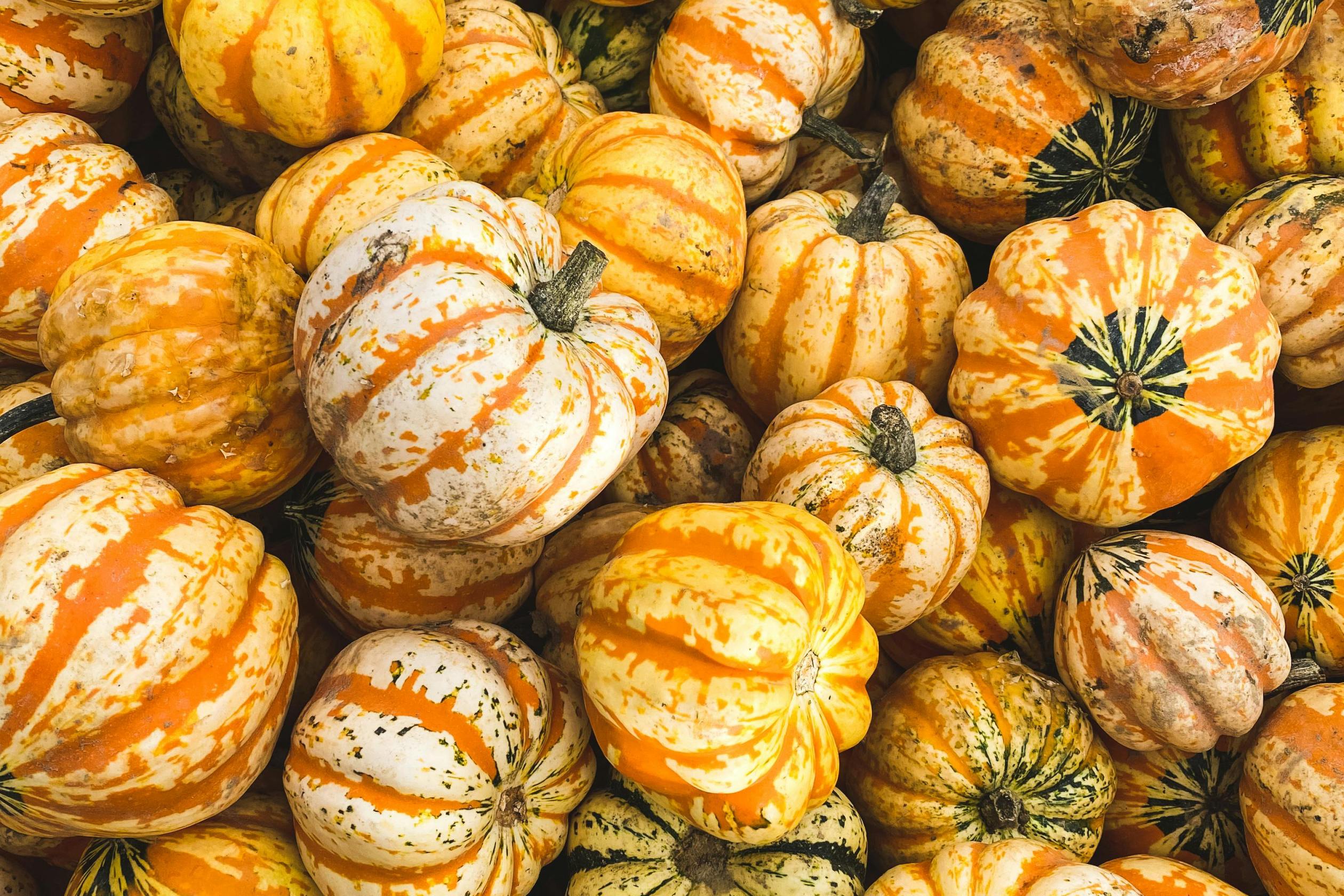 10 Tips For Picking The Perfect Pumpkin This Autumn - Wide Open Spaces