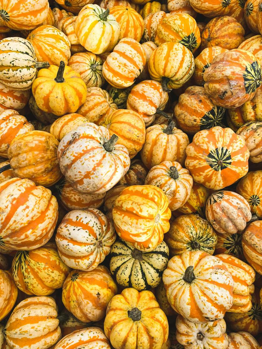 10 Tips For Picking The Perfect Pumpkin This Autumn - Wide Open Spaces