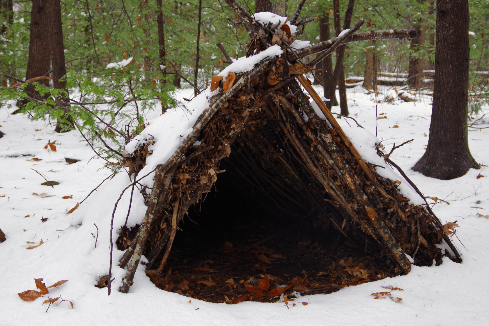 7 Different Types Of Shelters And How To Build Them - Wide Open Spaces