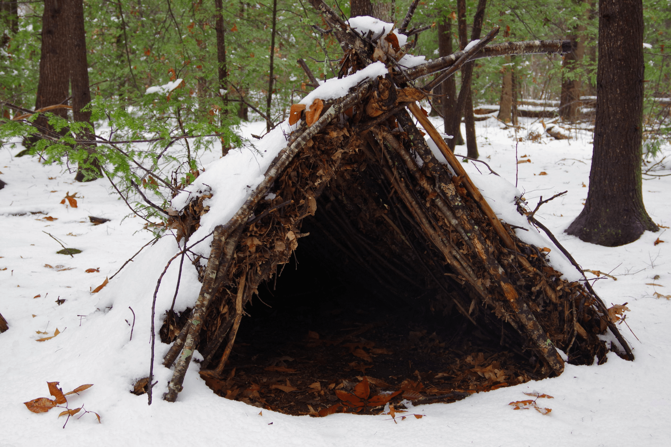 7 Different Types Of Shelters And How To Build Them - Wide Open Spaces
