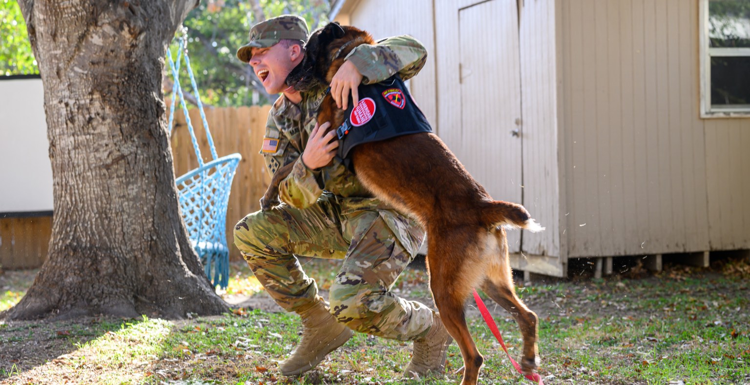 Army Sergeant Reunites With His Military Dog After Three Years Apart ...
