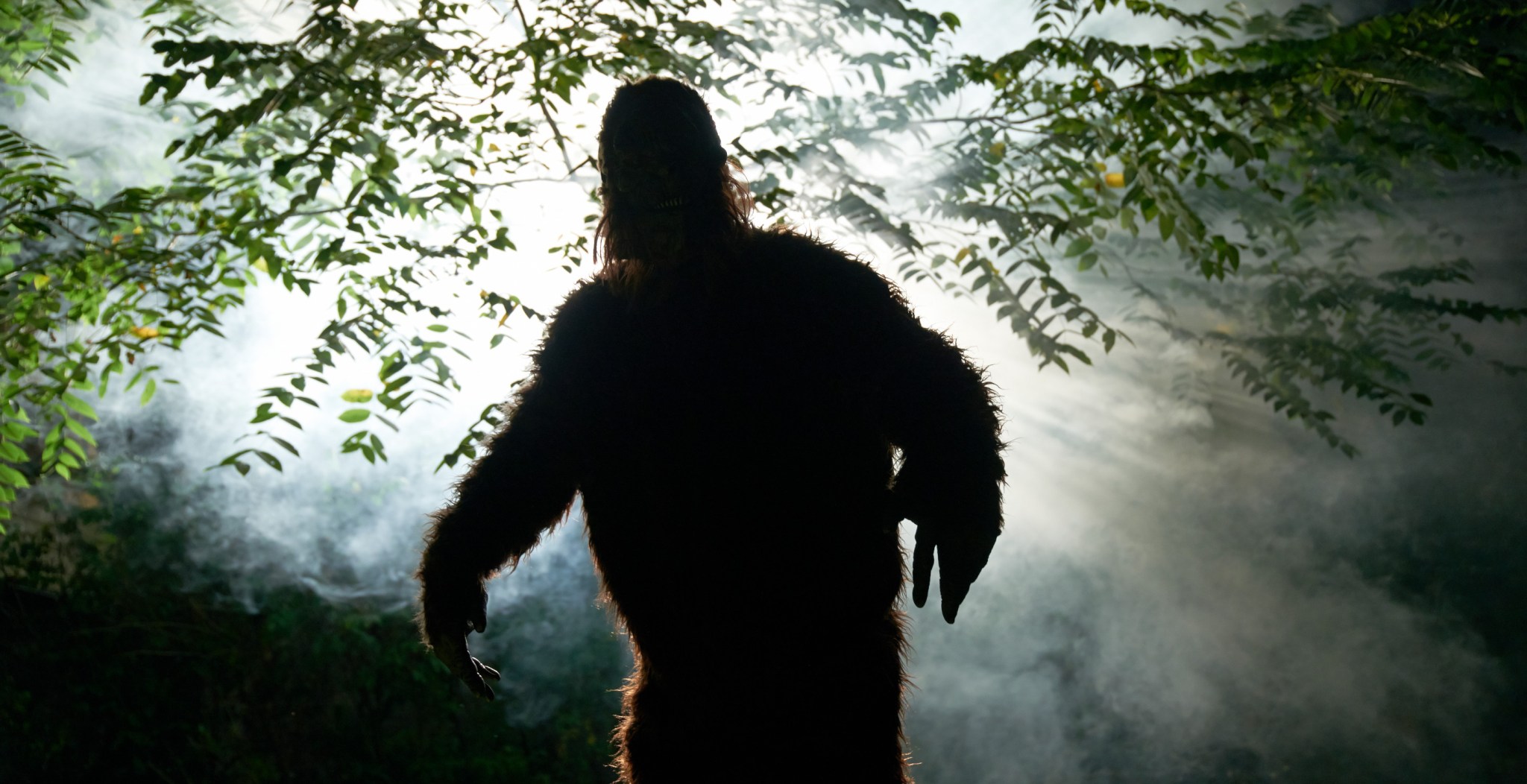 Bigfoot "Screams" In Connecticut Have Locals Edge In Scary Encounter ...