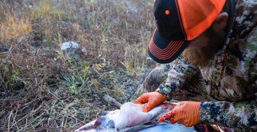 The Most Important Thing To Consider Before Field Dressing Your Deer ...