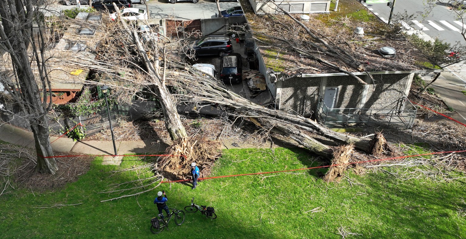Terrifying Video Shows Aftermath Of Bomb Cyclone That Slammed ...
