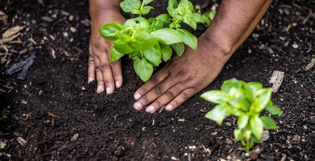 Your Backyard Is Hiding A Hidden Danger That Could Kill You — Here's ...