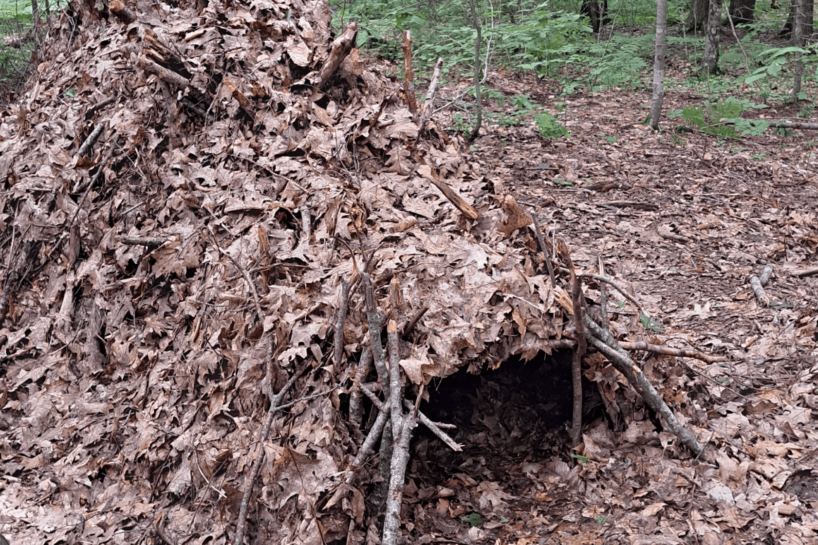 7 Different Types Of Shelters And How To Build Them - Wide Open Spaces