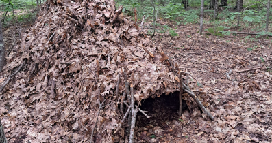 7 Different Types Of Shelters And How To Build Them - Wide Open Spaces
