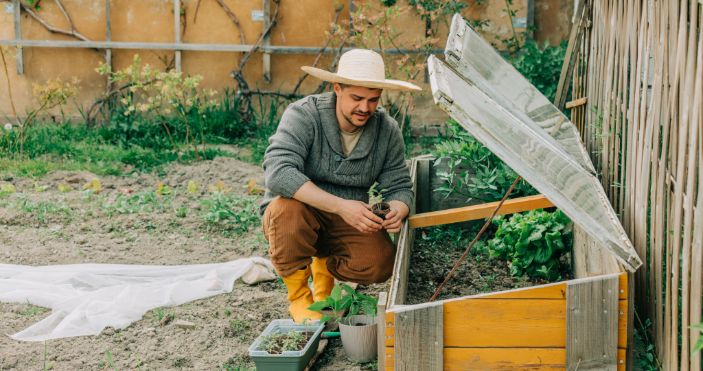 So You Want To Be A Homesteader? Here Are 3 Simple Ways To Start Today ...