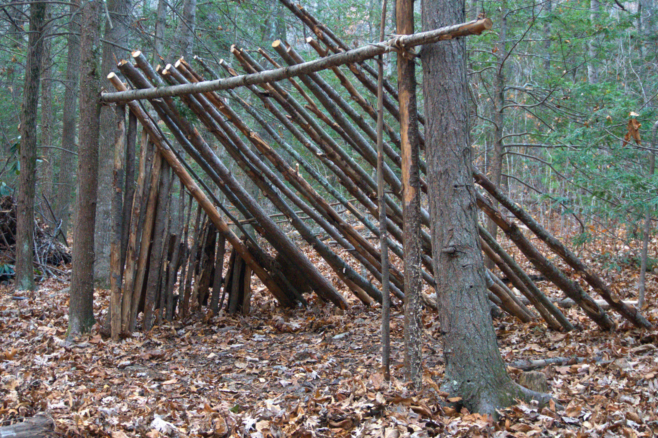 7 Different Types Of Shelters And How To Build Them - Wide Open Spaces