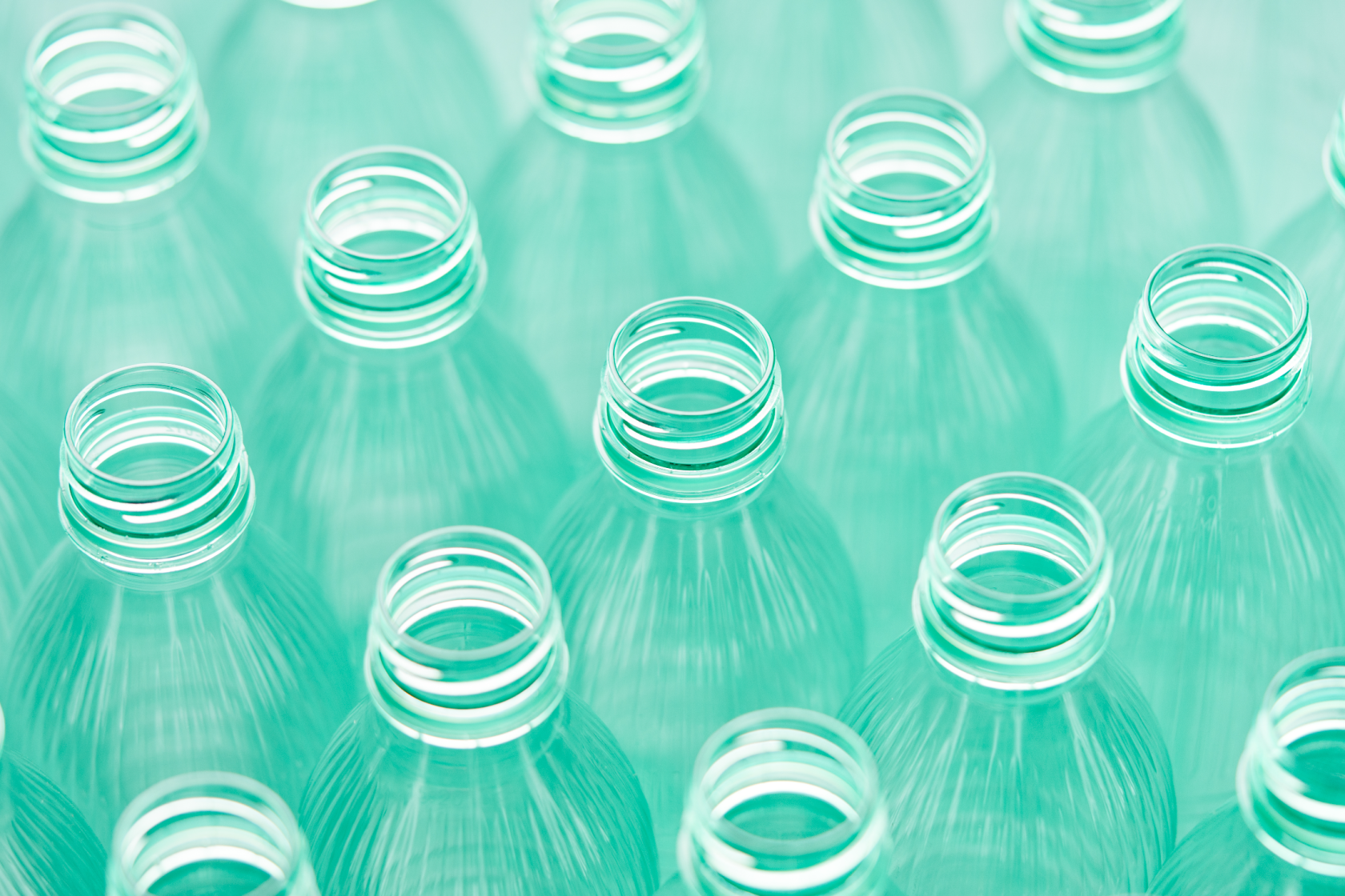 Scientists Discover Worm Species That Eats Plastic — It May Save The ...