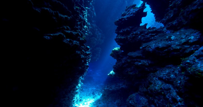 Scientists Find A Deep Sea Predator That Is Designed For Killing - Wide ...